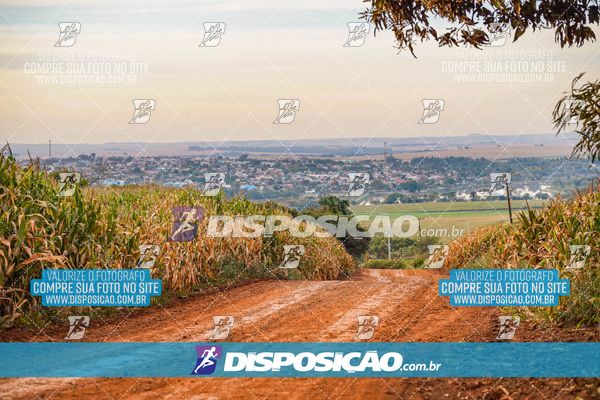 Alvo Bike XCM 2025 - Disposição