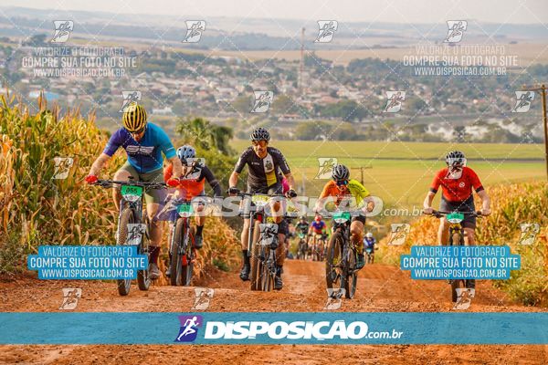 Alvo Bike XCM 2025 - Disposição