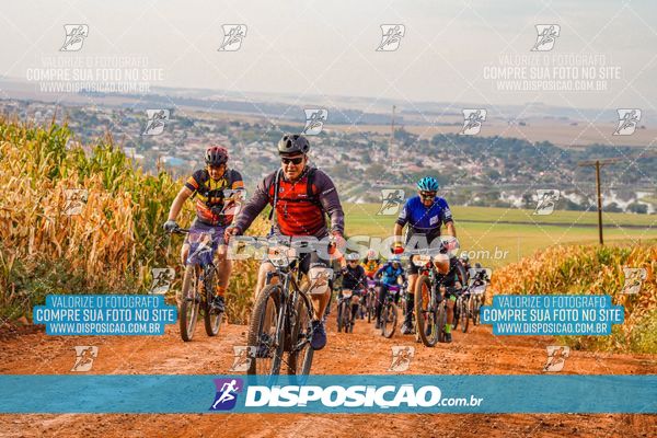 Alvo Bike XCM 2025 - Disposição